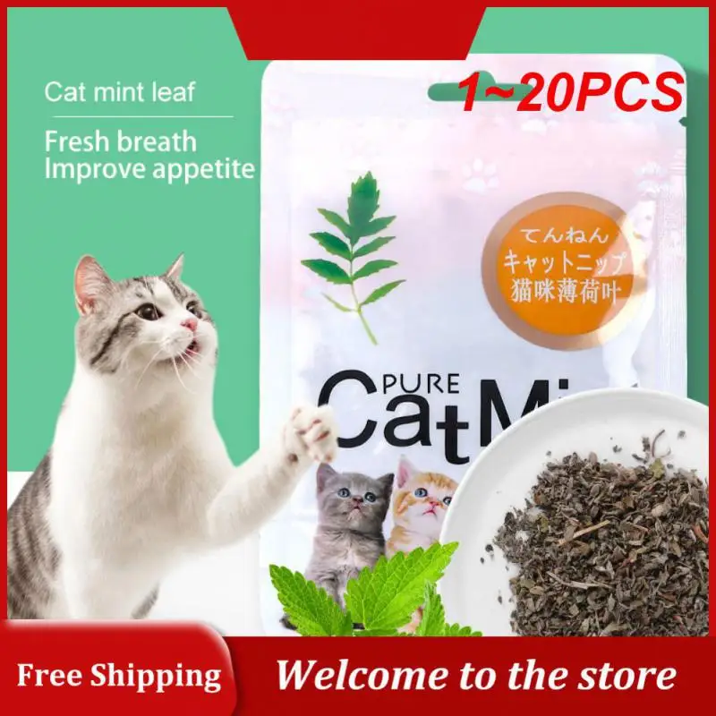 1-20PCS-Natural-Premium-Catnip-Cattle-Grass-Interactive-Cat-Non-toxic ...