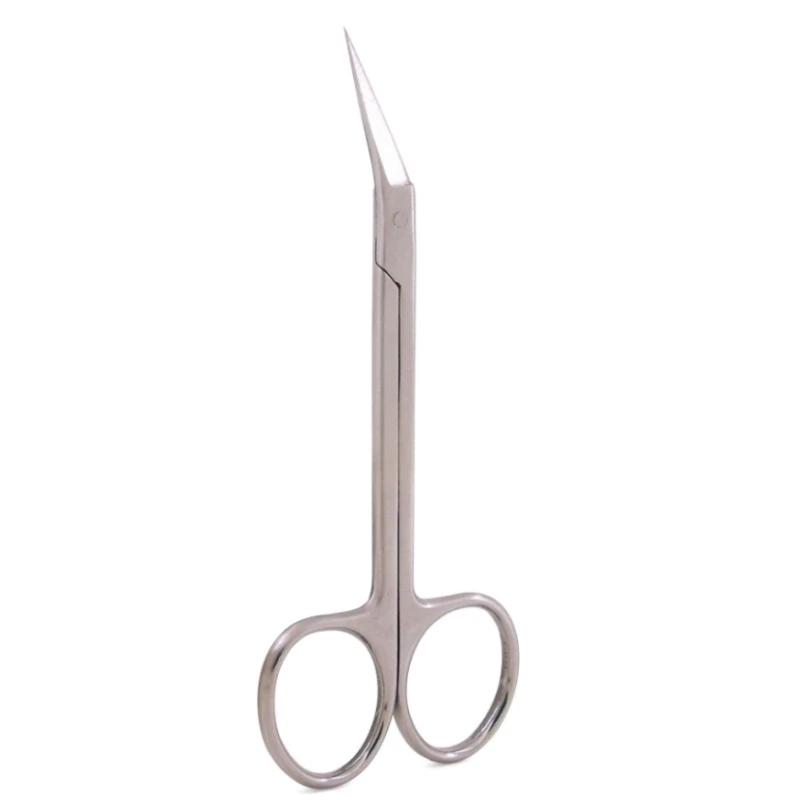 Dental Surgical Scissors Stainless Steel Curved Medical Tissue Scissors ...