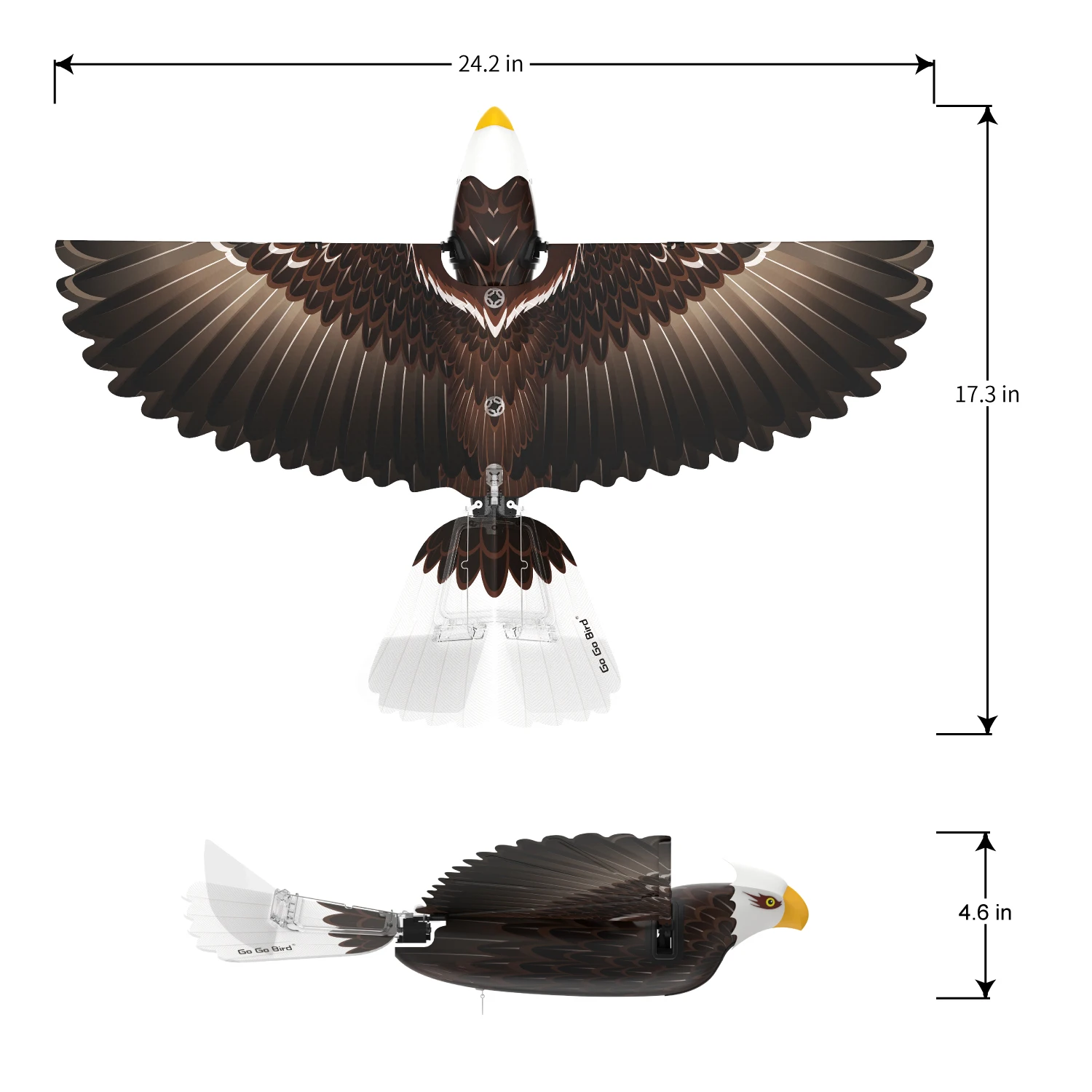 Go go bird eagle rc store