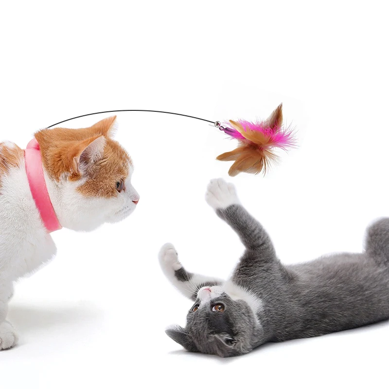 Cat-Collar-Toys-Interactive-Cat-Toys-Cat-Teaser-Stick-Collar-Self-help ...