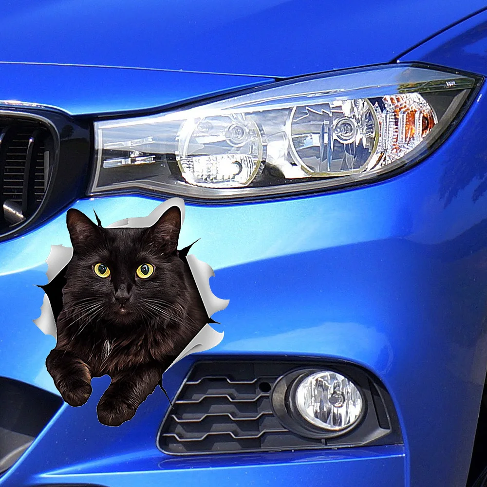 Black Ragdoll Cat Car Sticker - Gift Sign