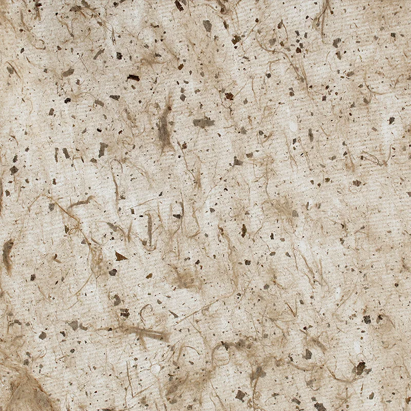 Chinese Rice Paper Texture
