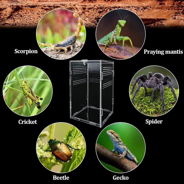 Snake Racks Jual Breeding Box Reptile Box Kandang Tarantula Enclosure ...