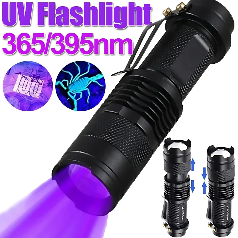 UV-Flashlight-LED-Ultraviolet-Torch-Zoomable-Mini-Ultra-Violet-Lights ...