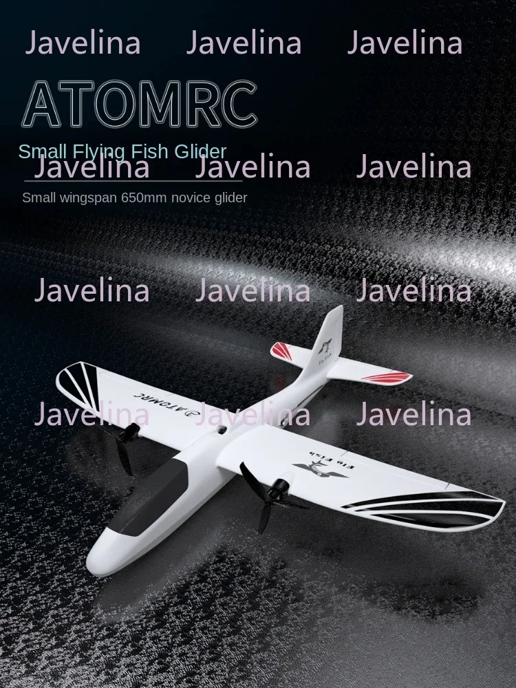 Model-fixed-wing-entry-level-practice-aircraft-remote-controlled ...