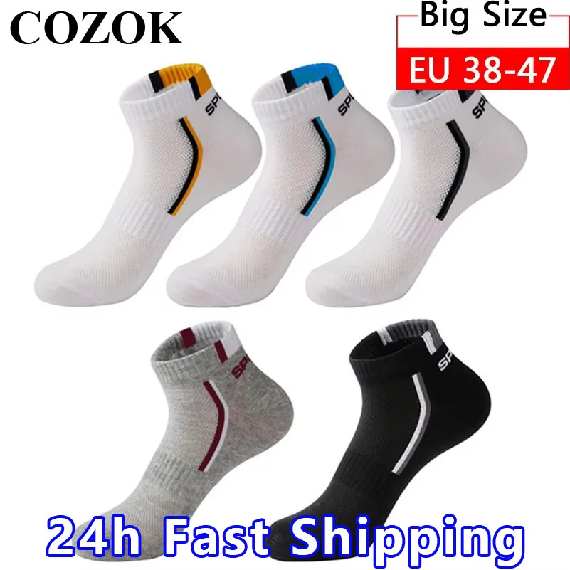 Scdc3521b55974e128d065f1ca1ae8ad5S.jpg