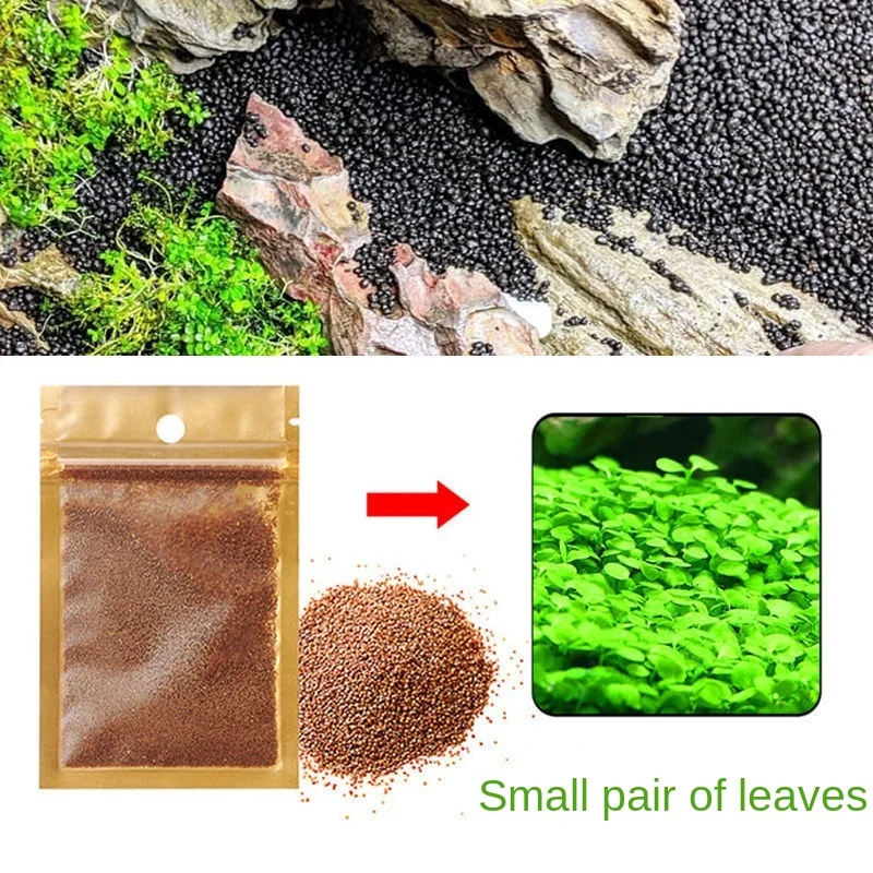 Fish tank soil | AliExpress Business