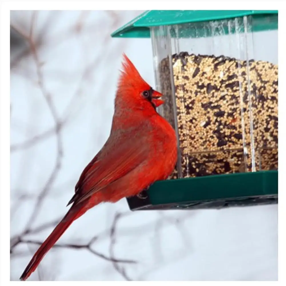 Cardinal Bird Feeders