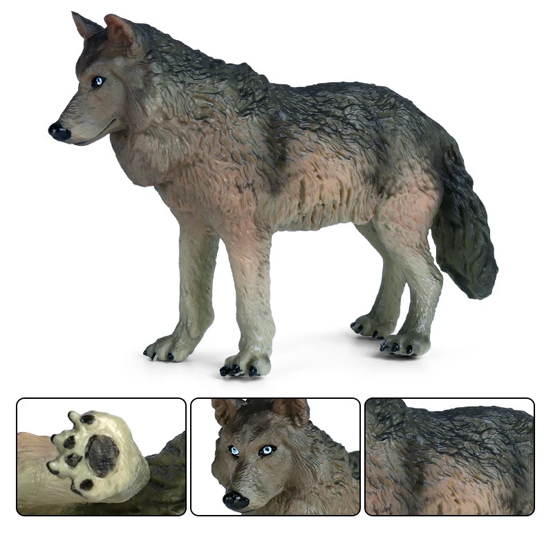 Alpha Wolf Size