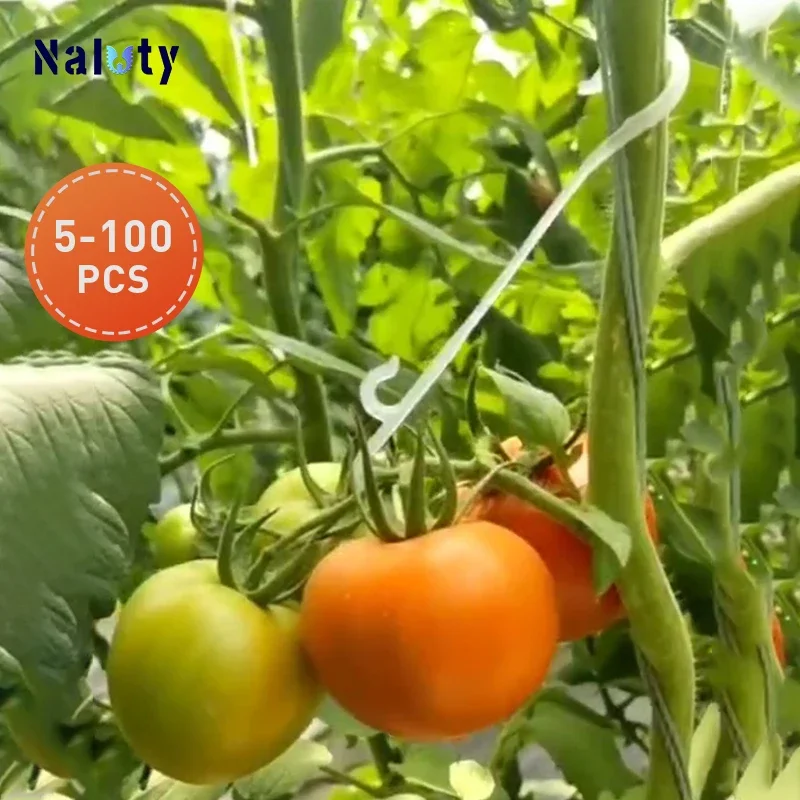 5-50pcs-Tomato-Support-J-Hooks-Plant-Support-Vegetable-Clips-To-Prevent-Tomatoes-Fruit-Cluster ...