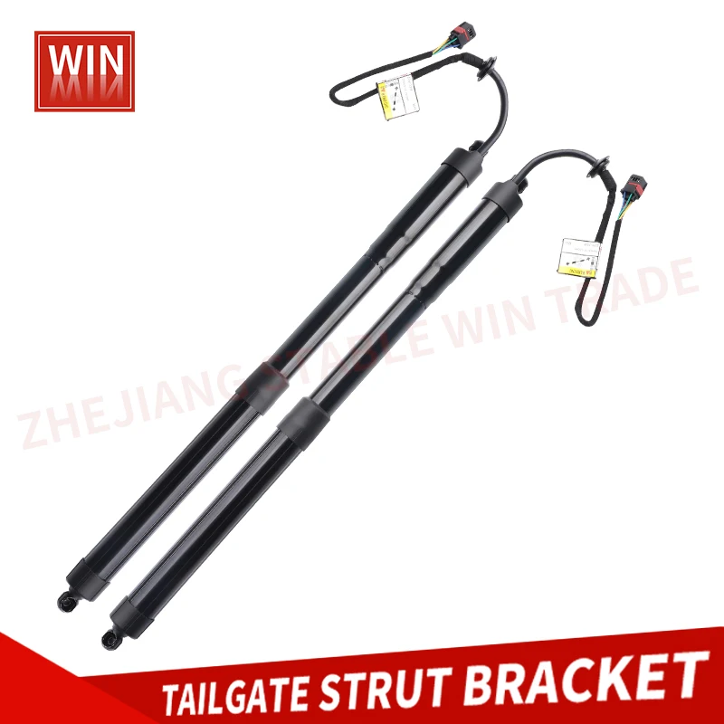 Left-and-Right-For-Hyundai-Santafe-2012-2018-Rear-Trunk-Liftgate-Power ...