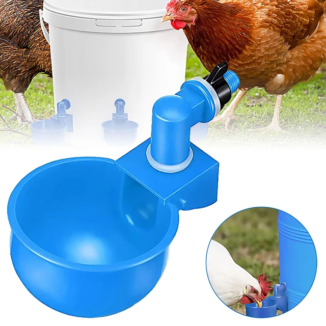 Self Watering System For Chickens