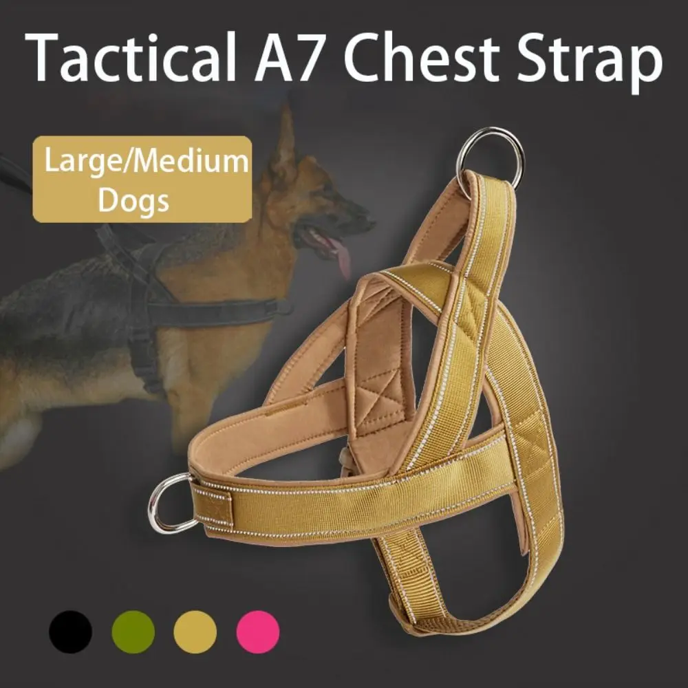 Walking Training Adjustable Reflective Nylon Pet Traction Rope Dog ...