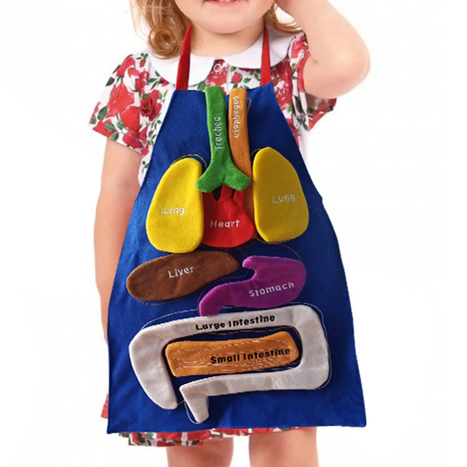 Science Apron