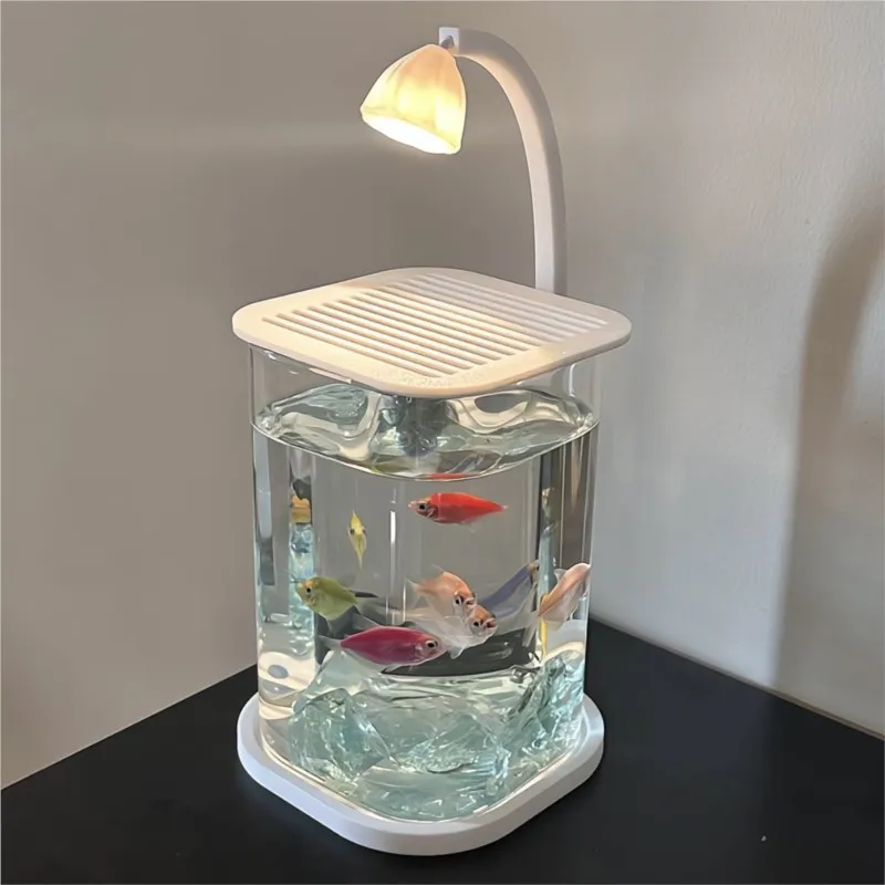 MOMO Home Desktop Aquarium Small Lazy Glass Aquascape Living Room ...