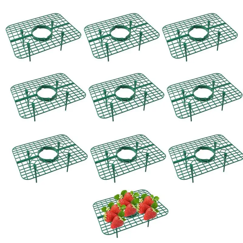 10pcs-Strawberry-Stand-Frame-Holder-Gardening-Stand-Plant-Tray-Rack ...