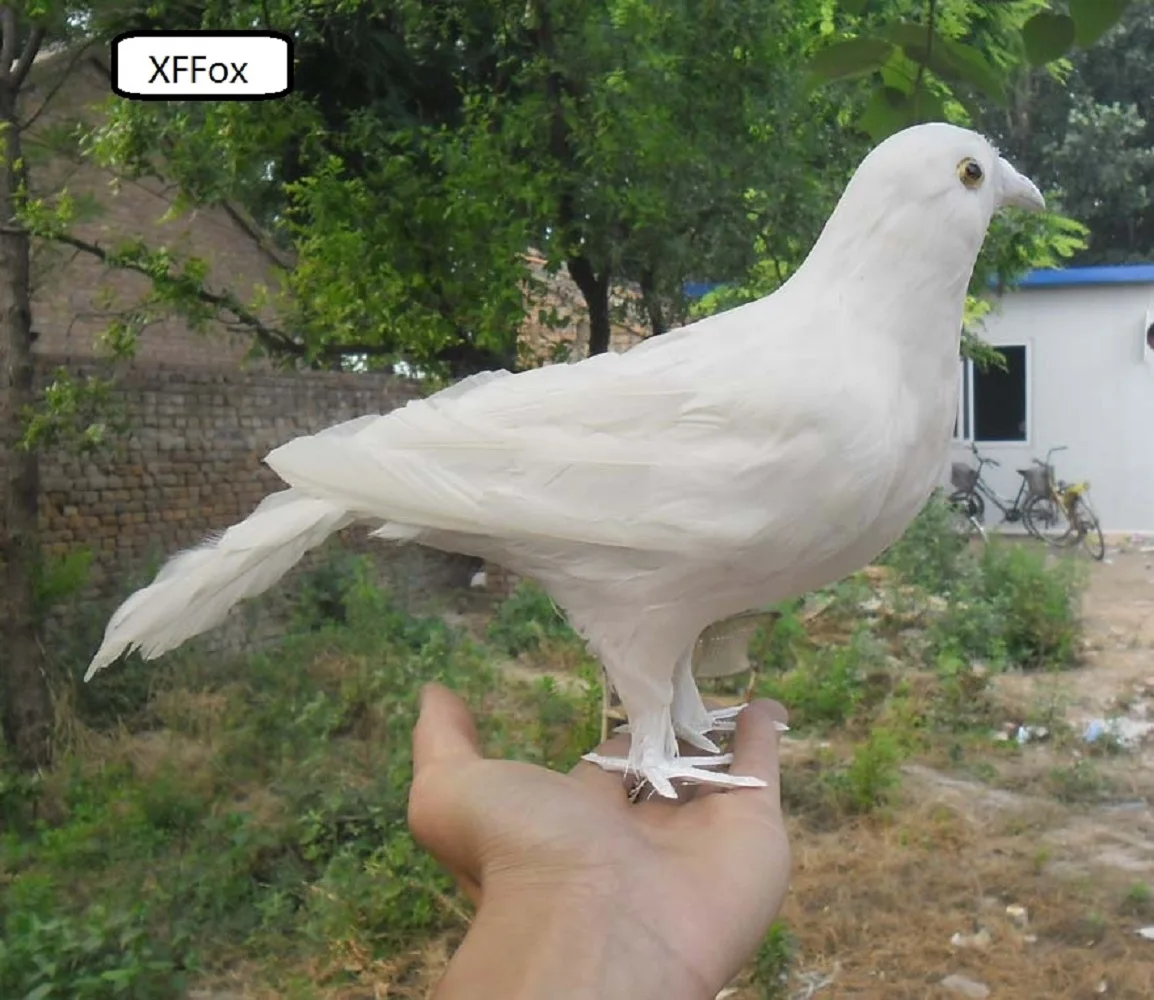 real-life-white-pigeon-model-foam-feather-big-dove-bird-doll-about-30cm ...