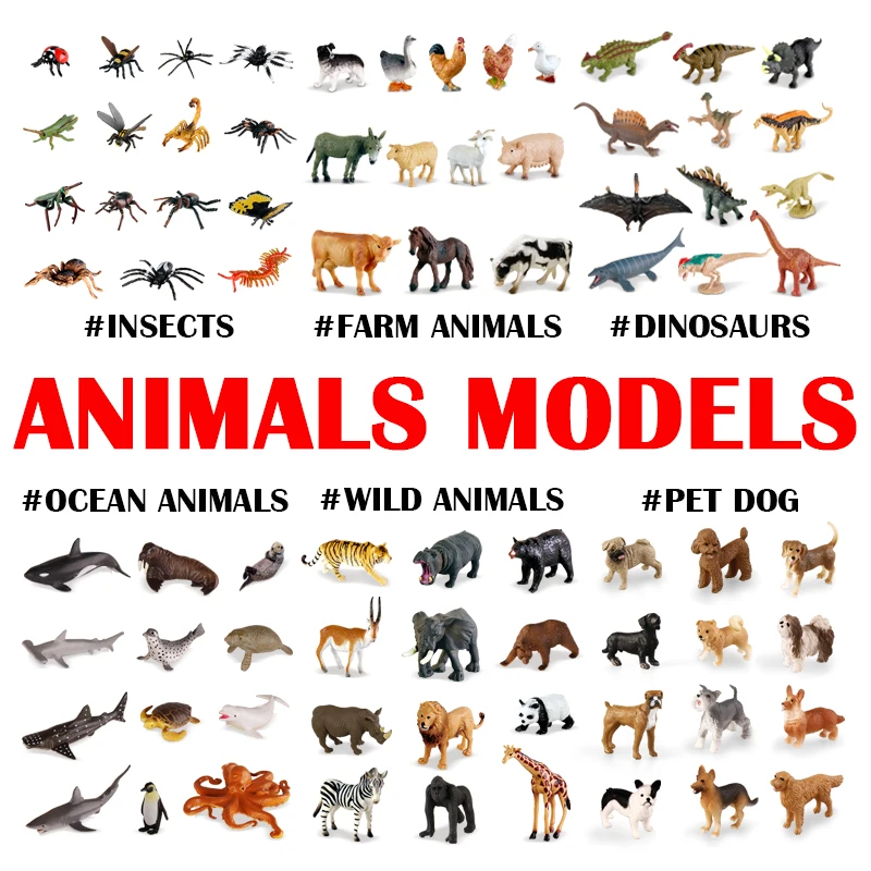Simulation-Wild-Fram-Ocean-Animals-Dinosaurs-Insect-Pet-Dogs-Insect ...