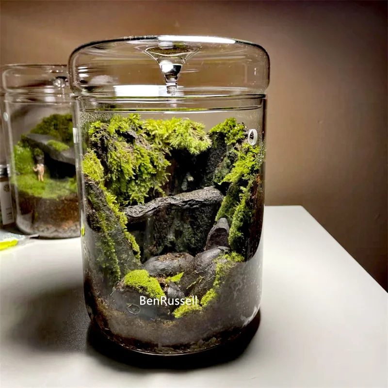 Micro-Landscape-Glass-Bottles-Creativity-Dew-Collection-Glass-Vase-Succulent-Moss-Bansai ...