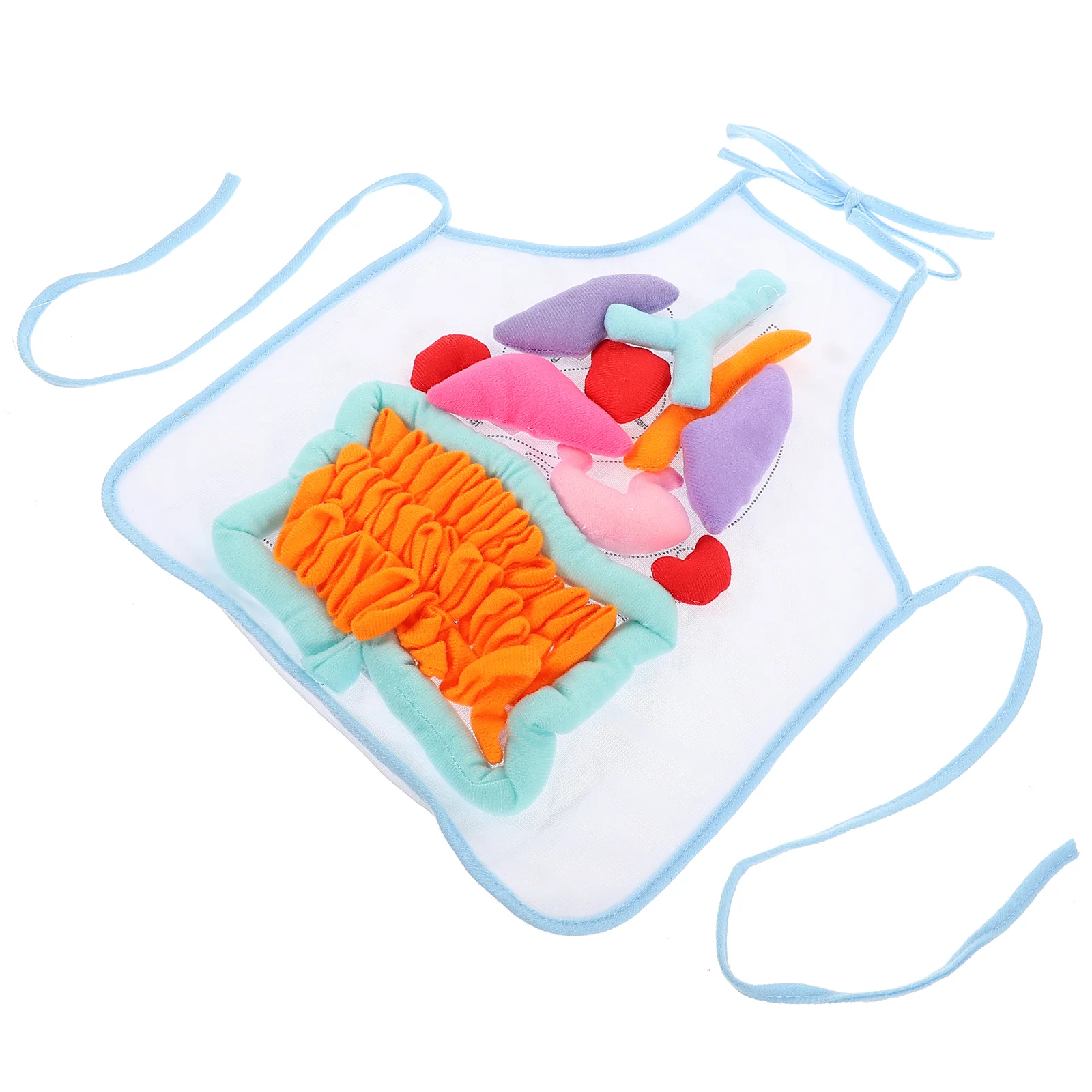 Children-Anatomy-Apron-Human-Body-Organs-Awareness-Preschool-Science ...