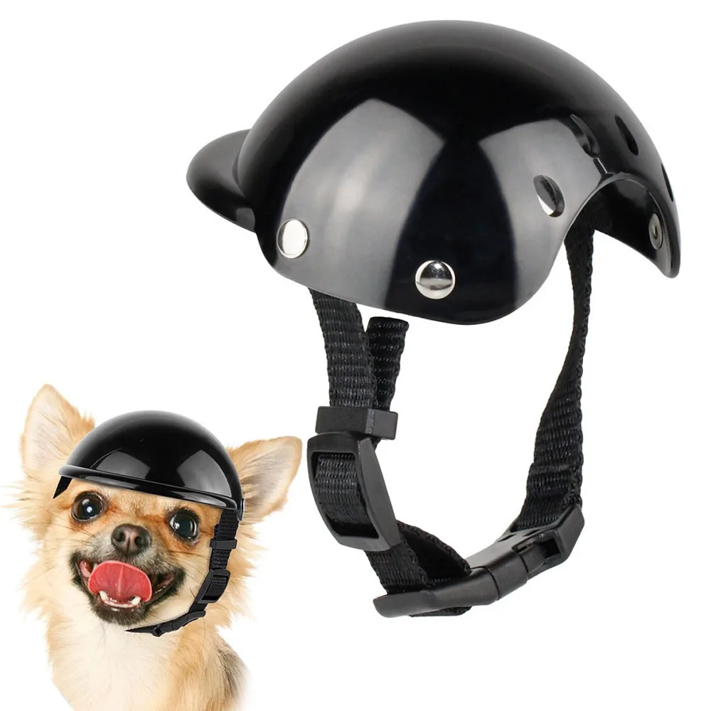 Helm Fr Hunde