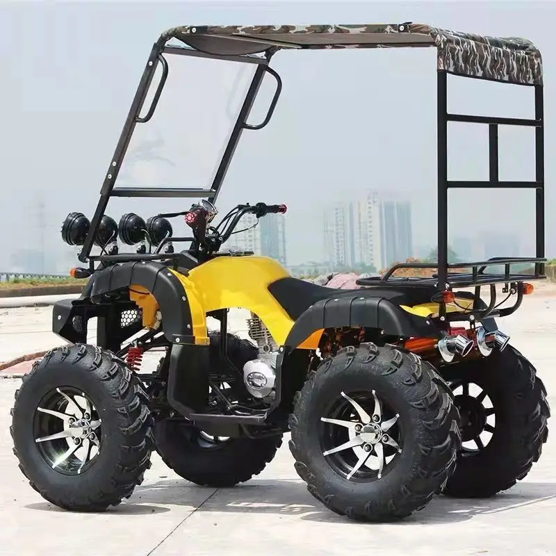 Mini Moto Four Wheeler