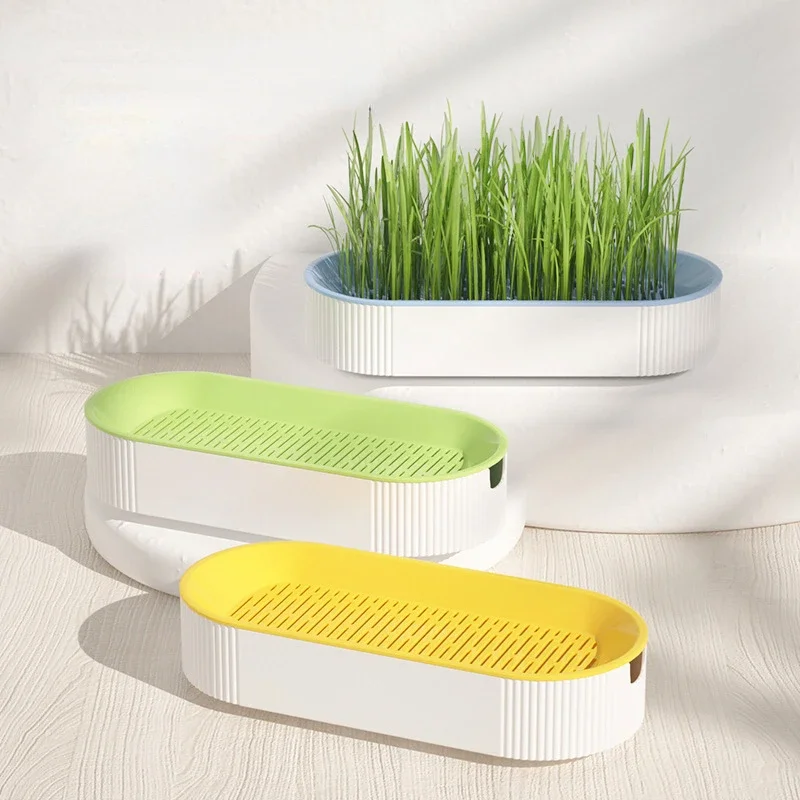 Hydroponic Cat Grass Planter Box Growing Pot Reusable Cat Snack Catnip ...