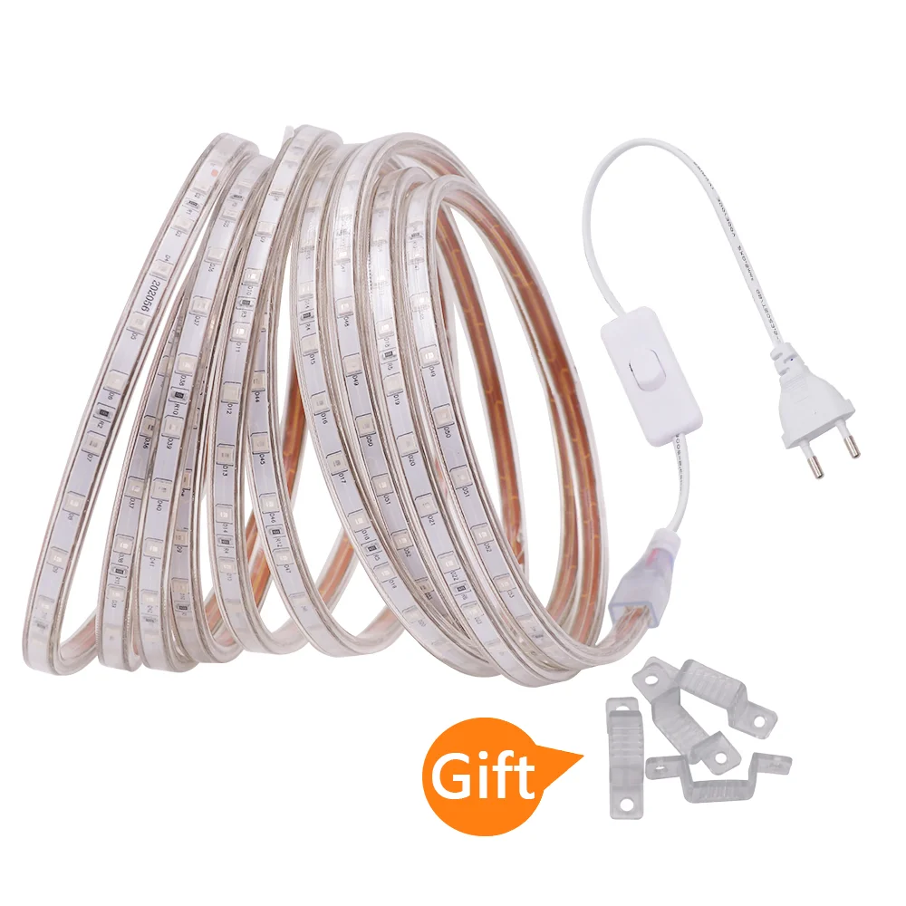 220V-LED-Strip-with-OFF-ON-Switch-5050-SMD-60Leds-m-Flexible-Diode-Tape ...