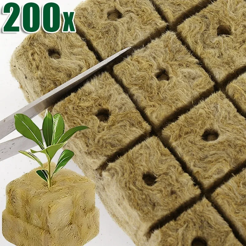 200-50Pcs-Seed-Grow-Sponges-Replacement-Root-Growth-Sponges-Soilless ...