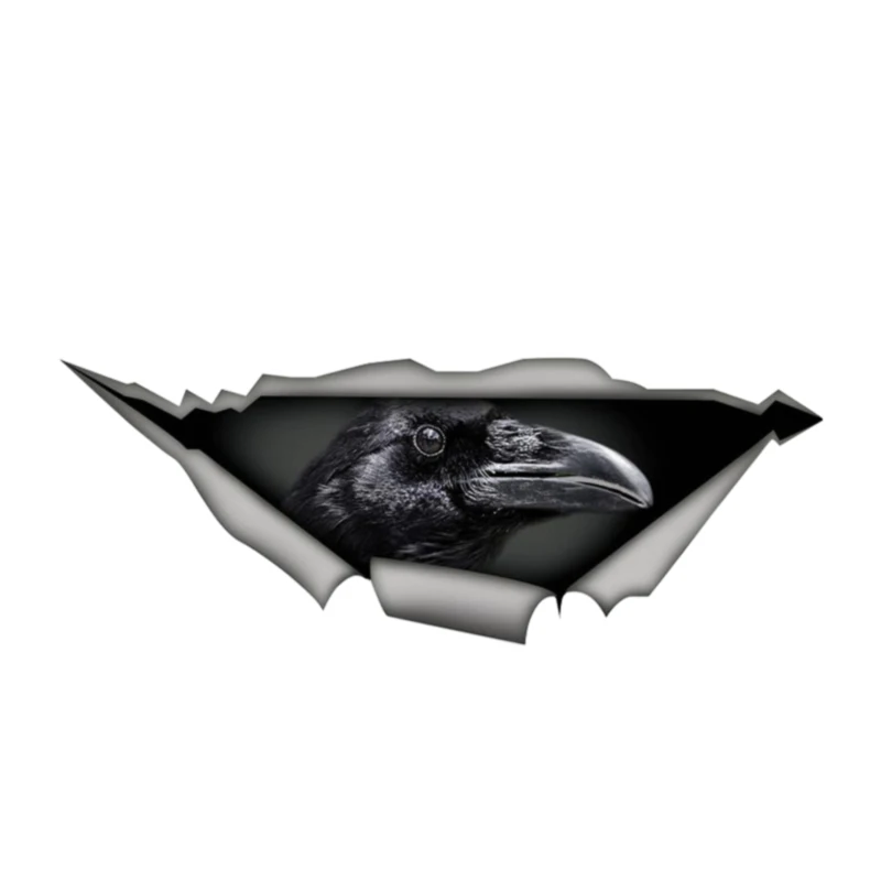 V46-Car-Sticker-Crow-Black-Bird-Waterproof-Vinyl-Decal-Car-Accessories ...