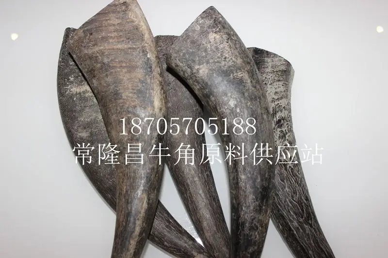 Buffalo-Horn-raw-materials-solid-black-buffalo-horn-raw-materials-solid ...