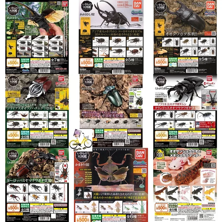 Japanese-Bandai-Genuine-Gacha-Scale-Model-Insect-Biology-Map-Beetle ...
