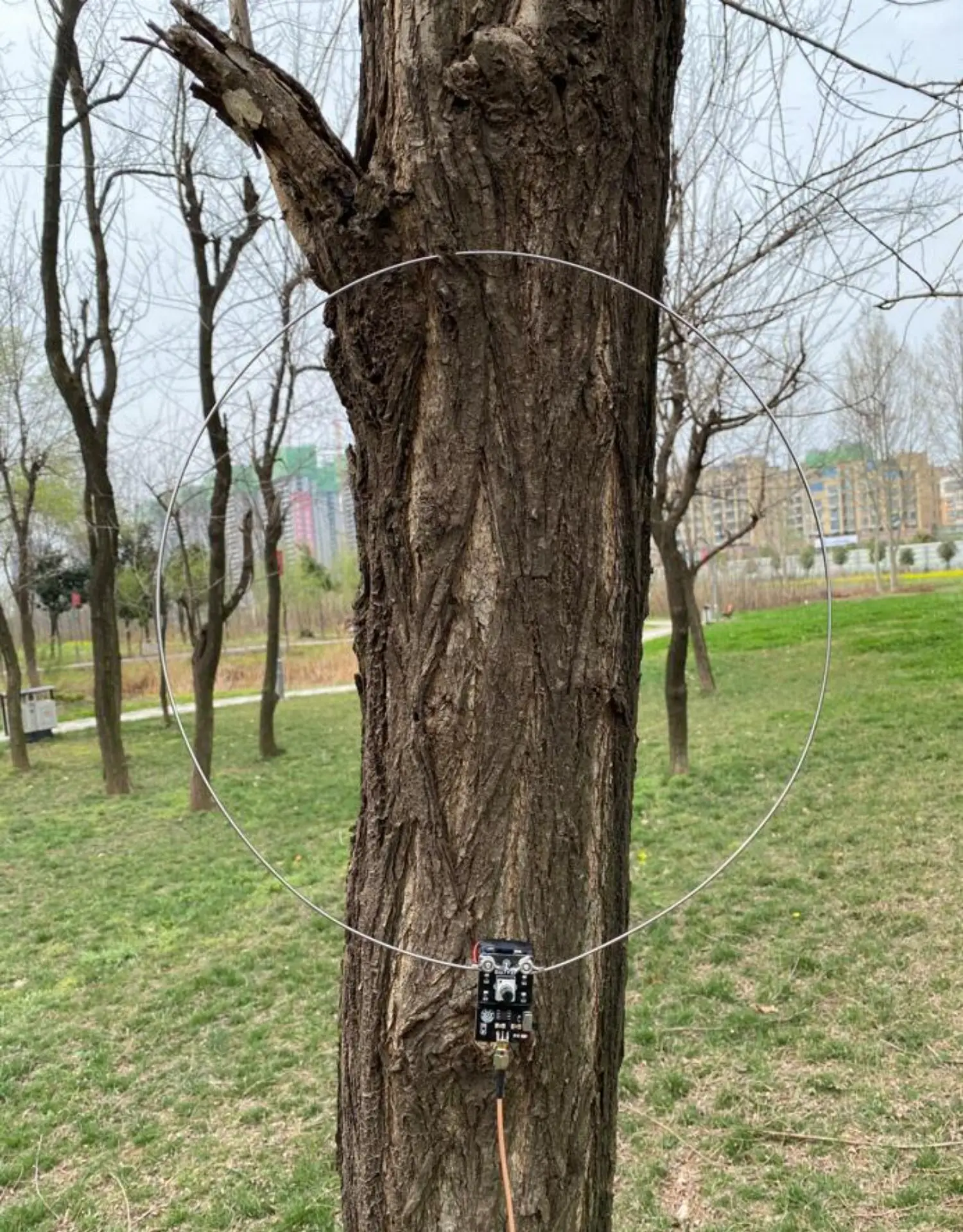 Active Small Loop Antenna Short Wave Loop Antenna NE592 For SDR ...