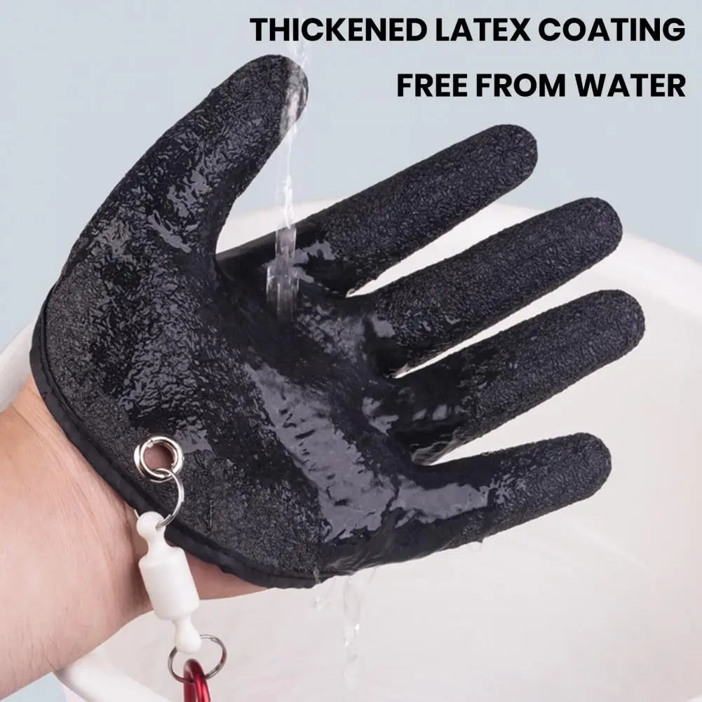 Great Catch In Hands