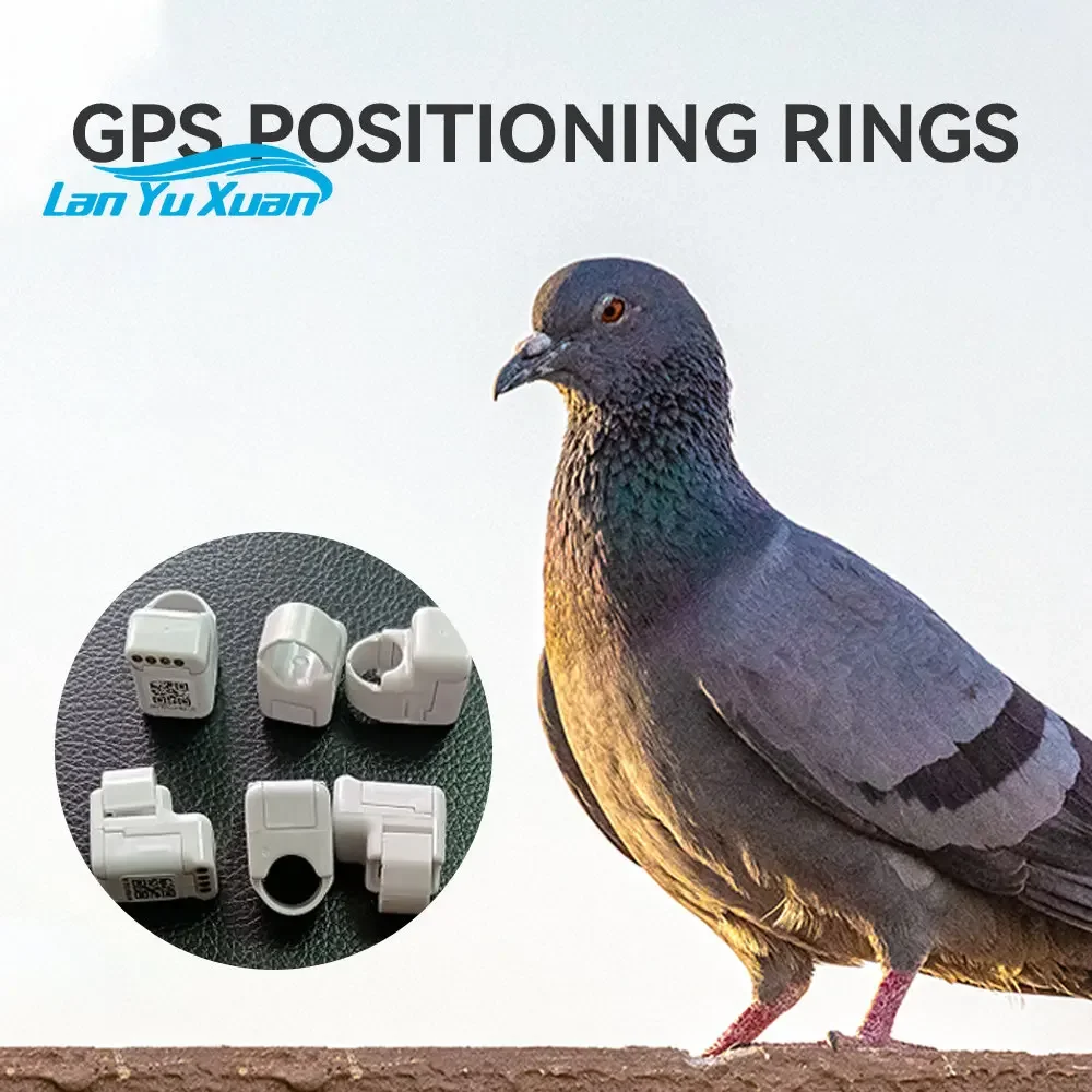 New Arrivals Real-time Positioning Pigeon Racing Training Tracker Gps Pigeon Tracking Chip Foot ...