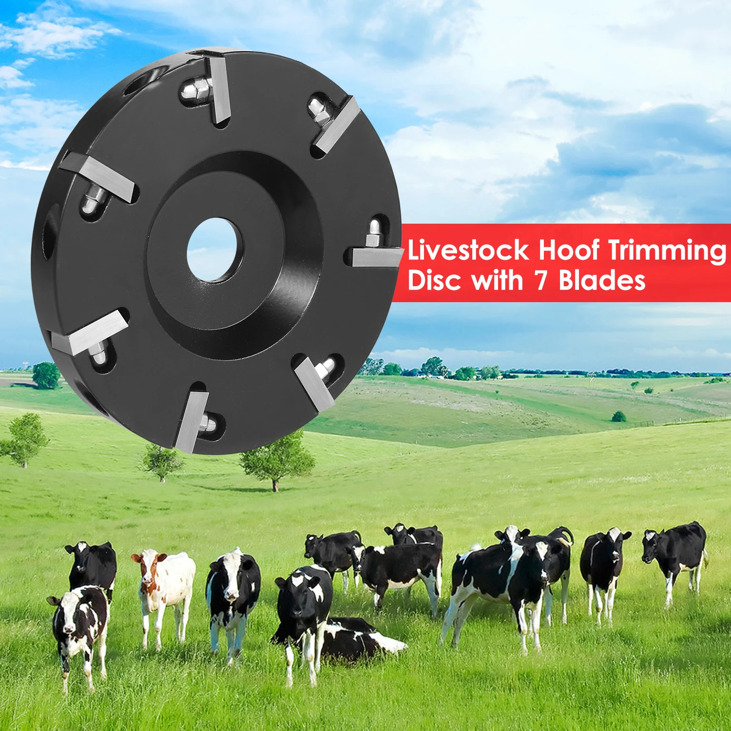 Livestock-Hoof-Trimming-Disc-Plate-Hoof-Trimming-Discs-Hoof-Grinding ...