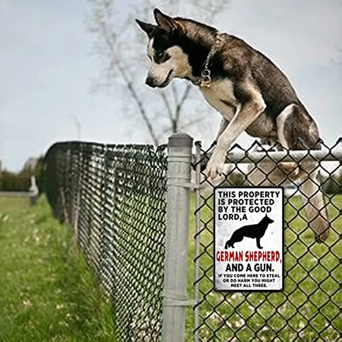 Beware Of Dog Sign German Shepherd