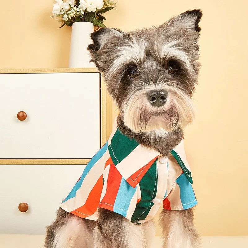 Camisa a rayas de colores para perros, camisas de moda para perros ...