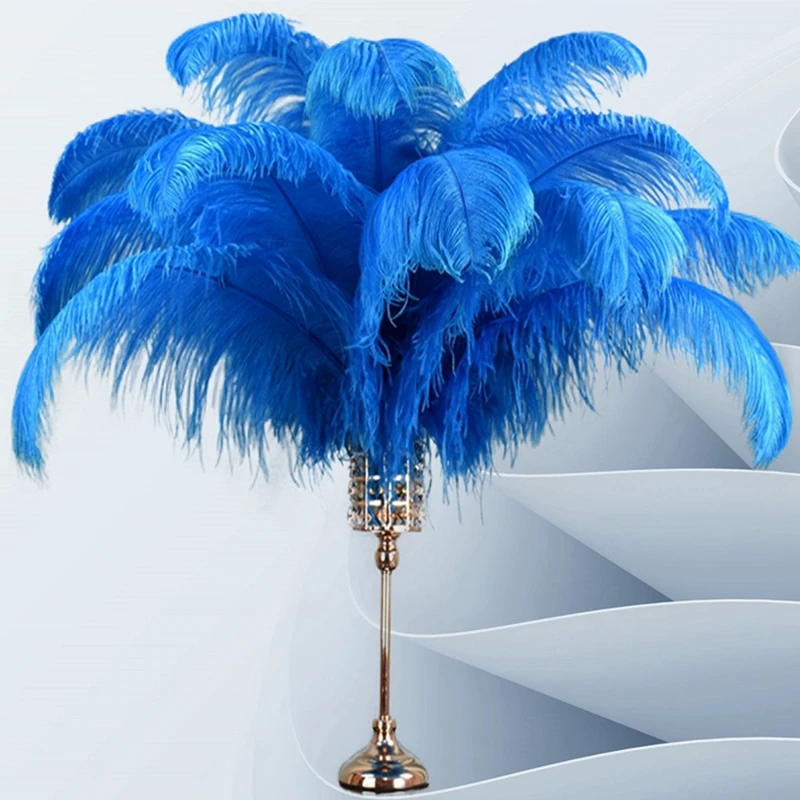 Lake-Blue-Ostrich-Feather-Decor-Feathers-for-Decoration-Crafts-Large ...