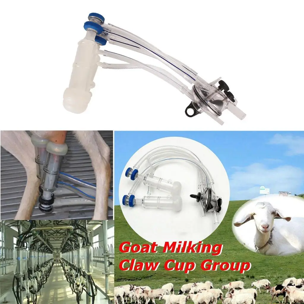 Scf82a28412ee4282b12ec3870a200492L.jpg