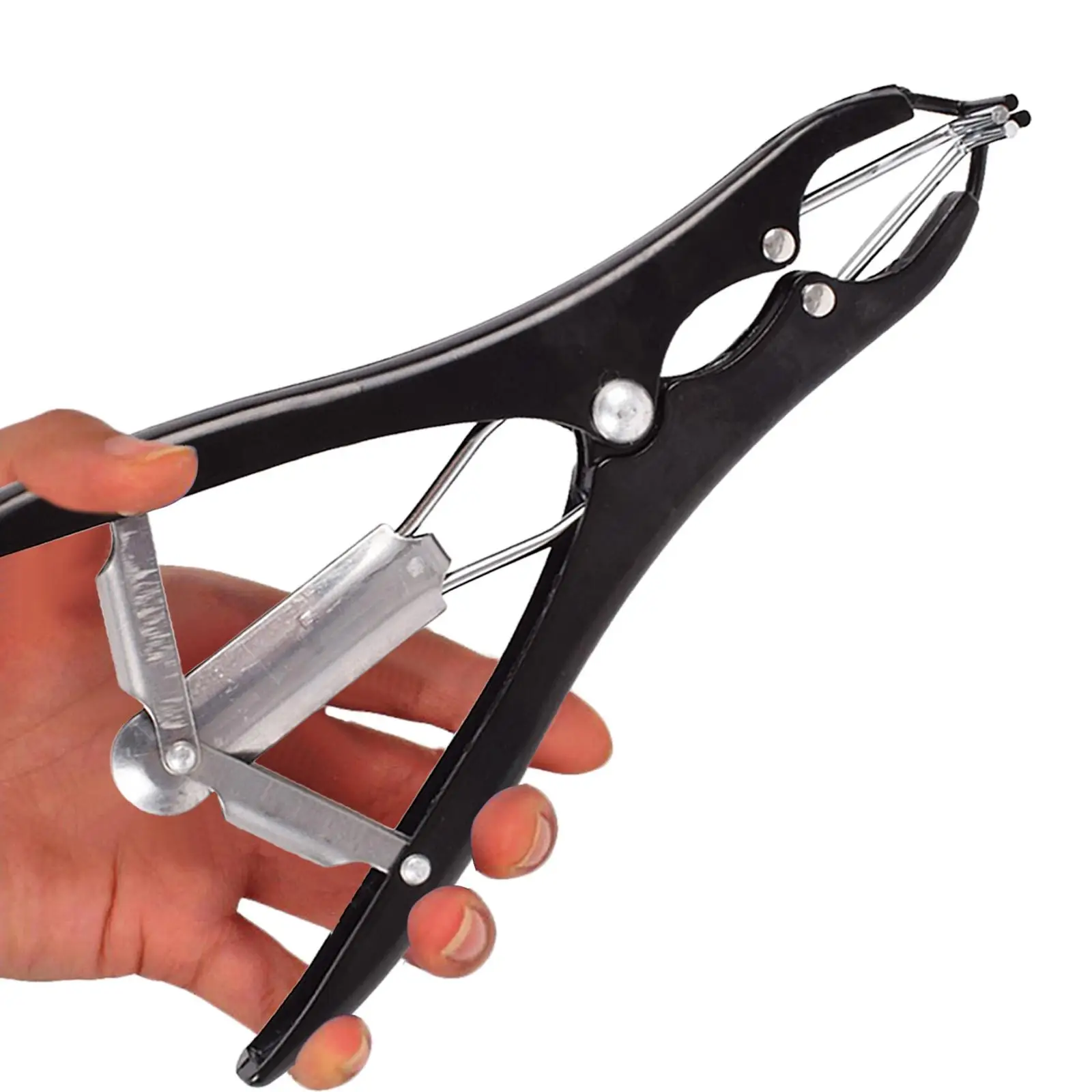 22+ Castration Banding Tool - ArehaAnnessa