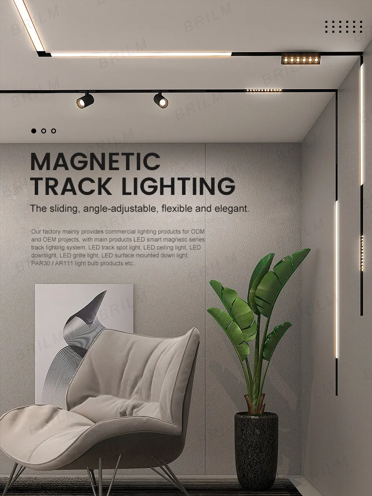 Smart Magnetic Track Light Tuya Zigbee Bluetooth DC48V LED Downlight ...