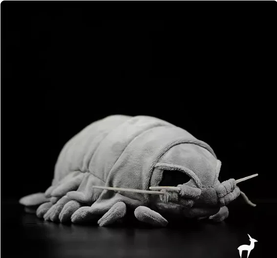 Hight-quality-50cm-30cm-12cm-Sea-Creature-Giant-Isopod-Realistic ...