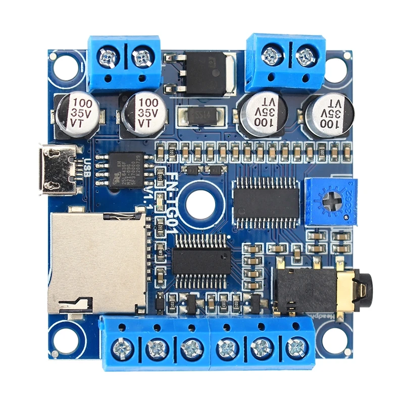FN-TG01 Audio Player MP3 Module with 15W Class D Amplifier (Module Only ...