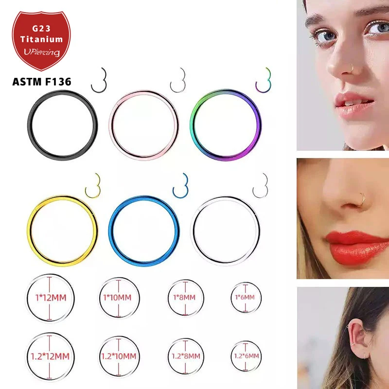 G23 Titanium ASTM F136 Piercing Hinged Septum Clicker Segment Nose ...
