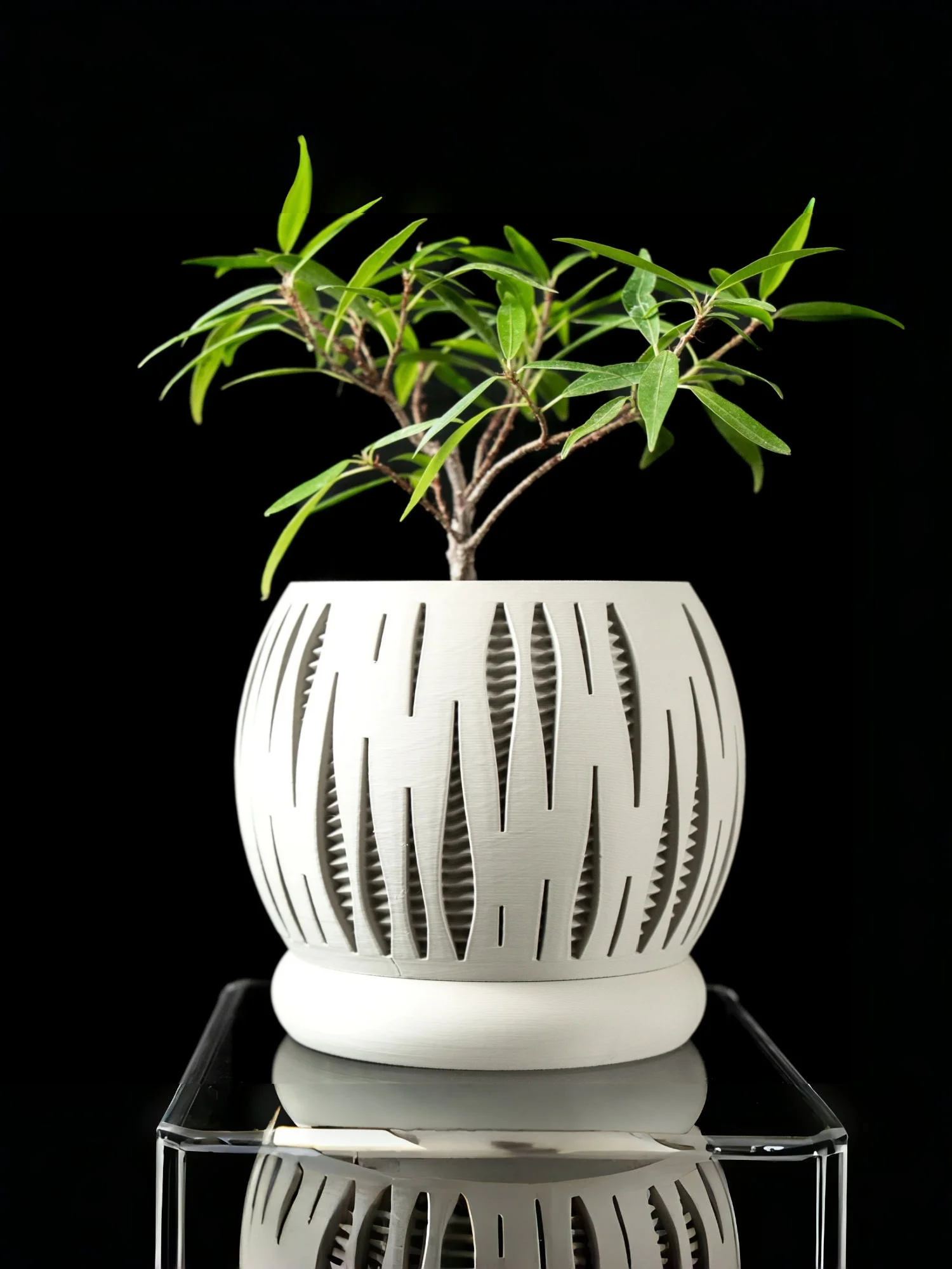 3D Printed Plant Pot Biodegradable Flower Planter for Home Pots for ...