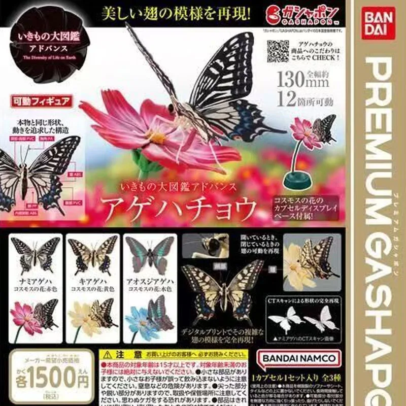 Bandai Genuine Biological Encyclopedia Gashapon Toys Papilio Xuthus ...