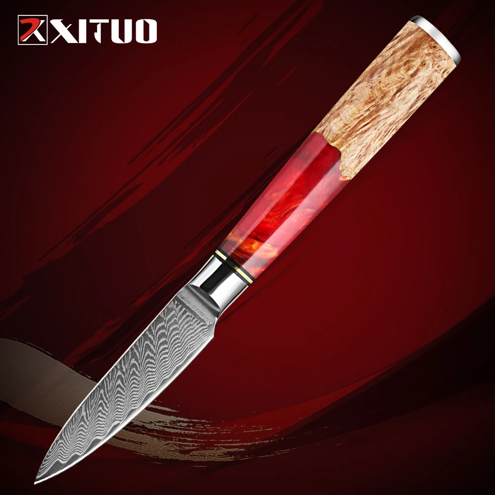 Paring-Knife-3-5-Inch-Damascus-VG10-Core-Steel-Fruit-Knife-Ultra-Sharp ...
