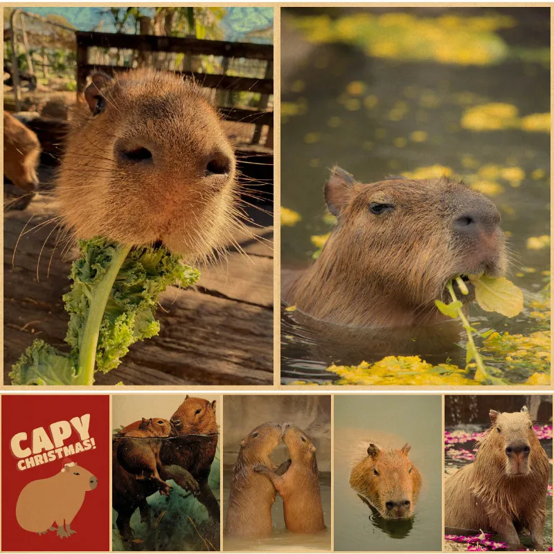 Descubre el encanto del de capibara kawaii: el mejor capybara wallpaper ...