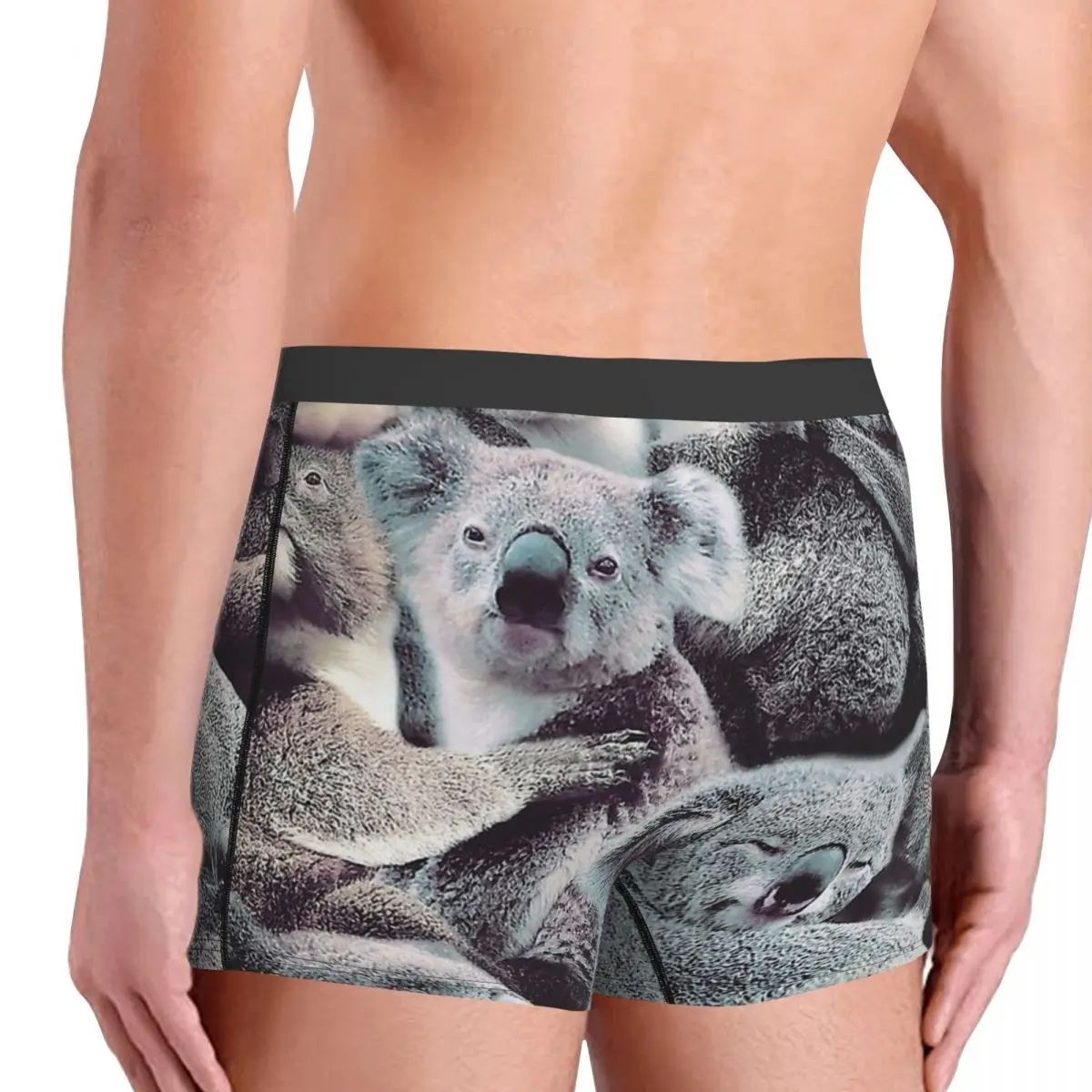10 Guy Meme Koala